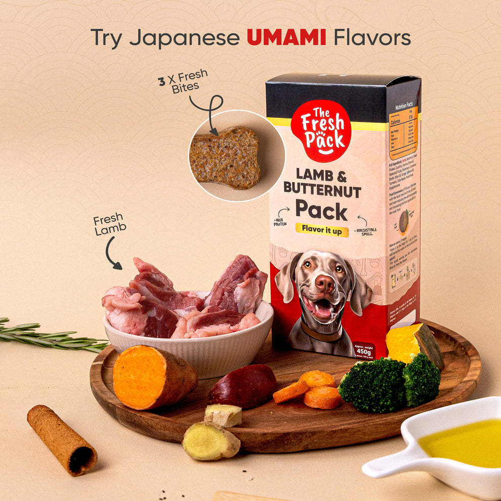 Lamb Recipe For Dogs - "UMAMI" 450 Grams -Best Fresh and Healthy Food ...