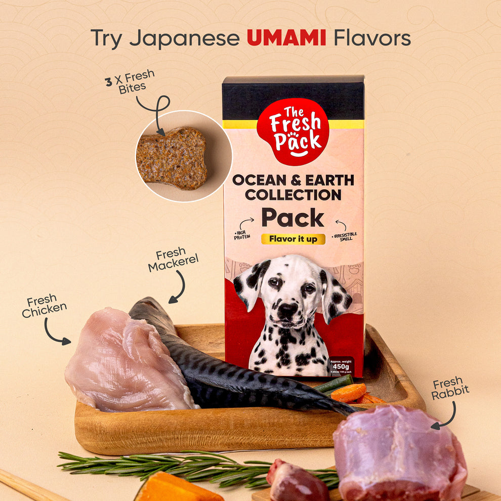Ocean & Earth Collection For Dogs - "UMAMI" 450 Grams - Best Fresh and ...